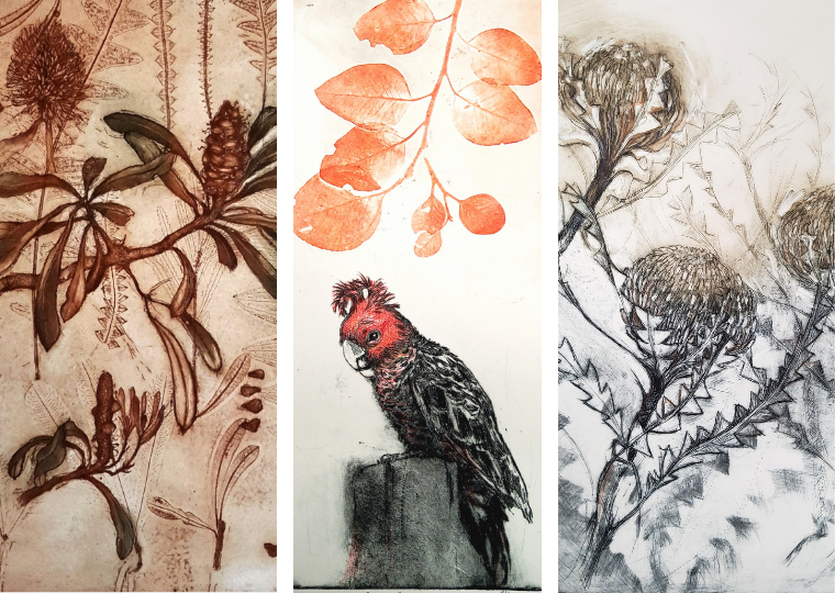 Upcoming Exhibition | Botanical Connections | Jo Hollier– Mrs Smith ...